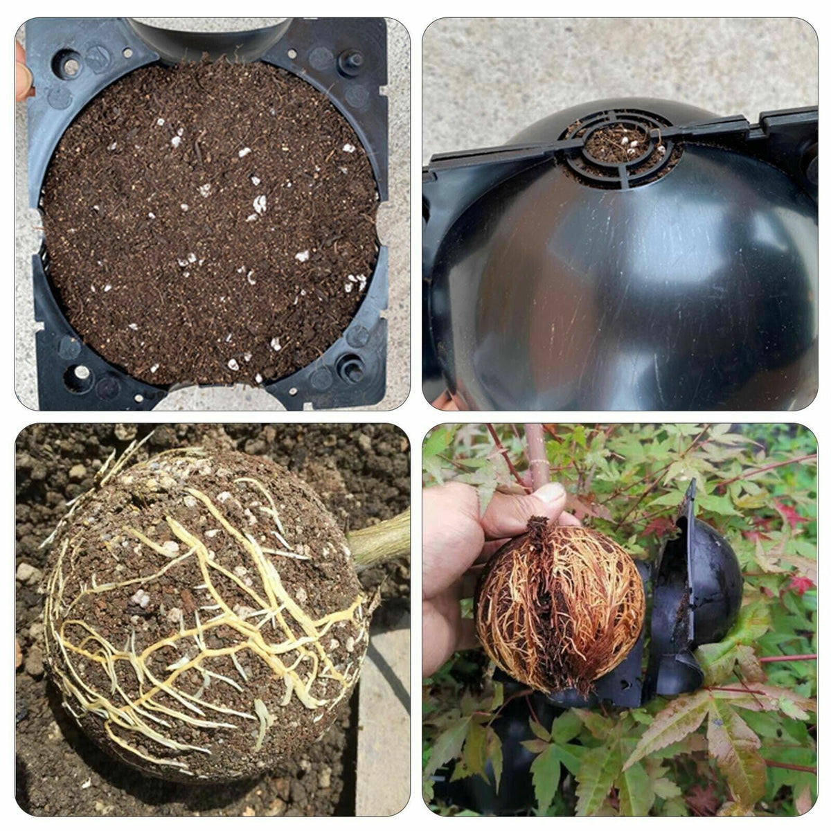 5x Plant Rooting Device High Pressure Propagation Ball Root Grow Graft ...