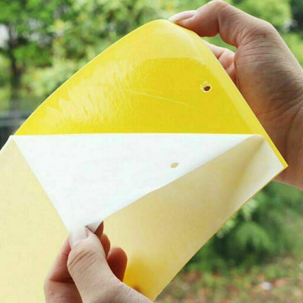 Yellow Sticky Glue paper Insect Trap Catcher Killer Fly Aphids Wasp ...