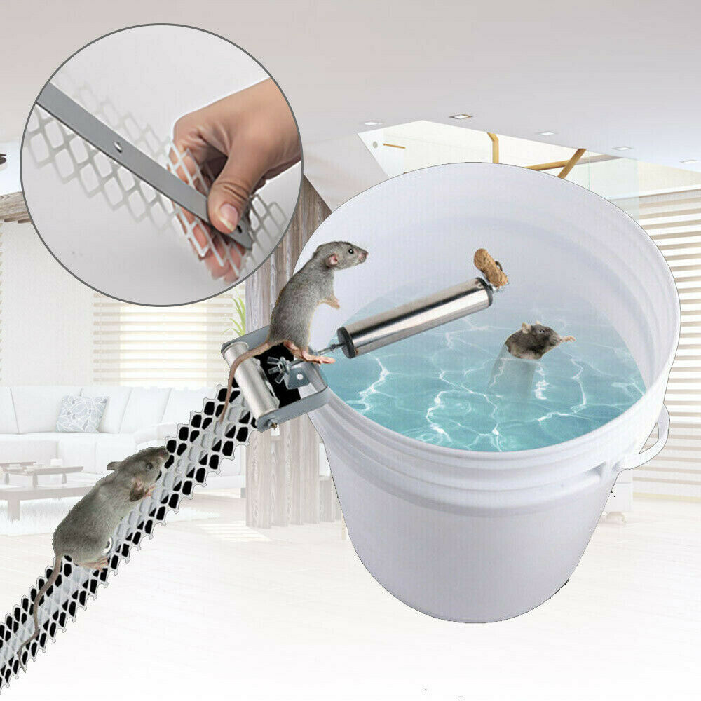 Walk The Plank Mouse Trap Roller Catch Mice Auto Reset Humane Bucket R ...