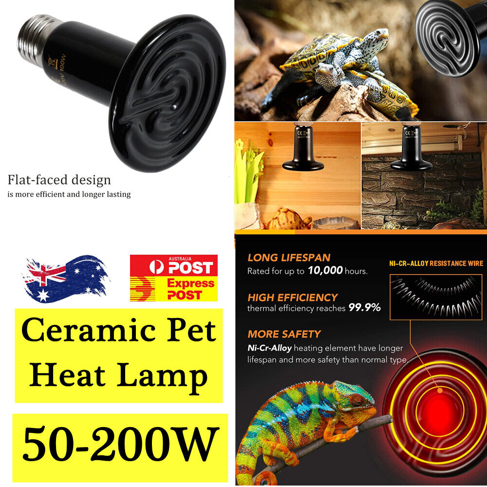 Infrared Ceramic Heat Lamp Bulb Reptile Pet Chicken Snake Brooder Home ...