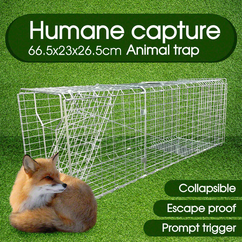 Animal Trap Cage Folding Humane Live Catch Possum Fox Rat Cat Rabbit B ...